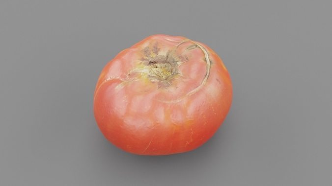 Tomato 01 high-poly 3D model | CGTrader