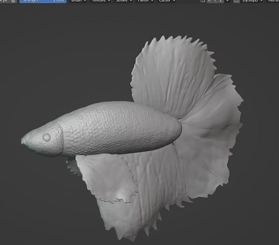 Betta Fish Animal 3D model 3D printable | CGTrader