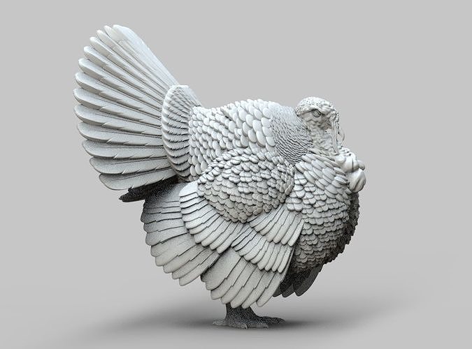 turkey thanksgiving 3D model 3D printable | CGTrader