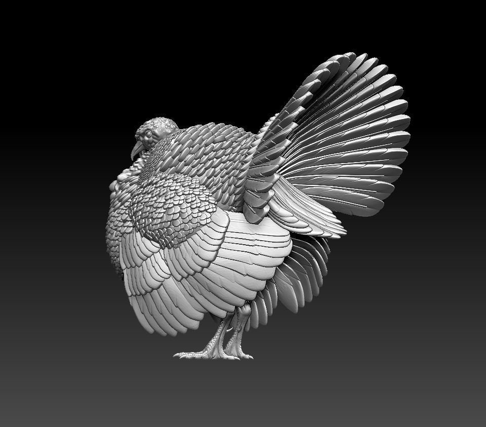 turkey thanksgiving 3D model 3D printable | CGTrader