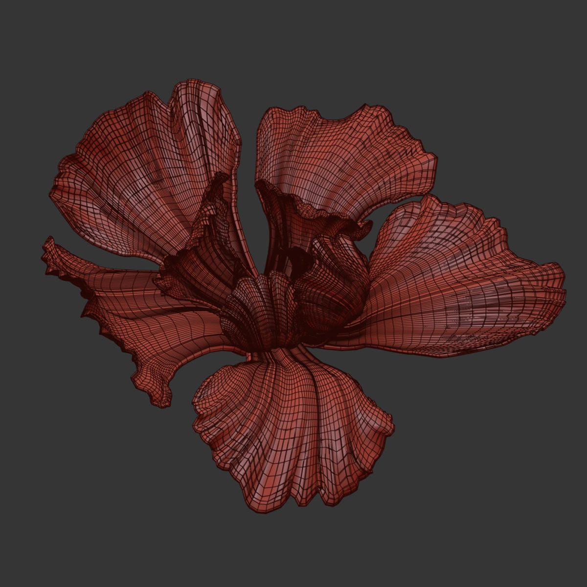 Gypsum flower 3D model | CGTrader