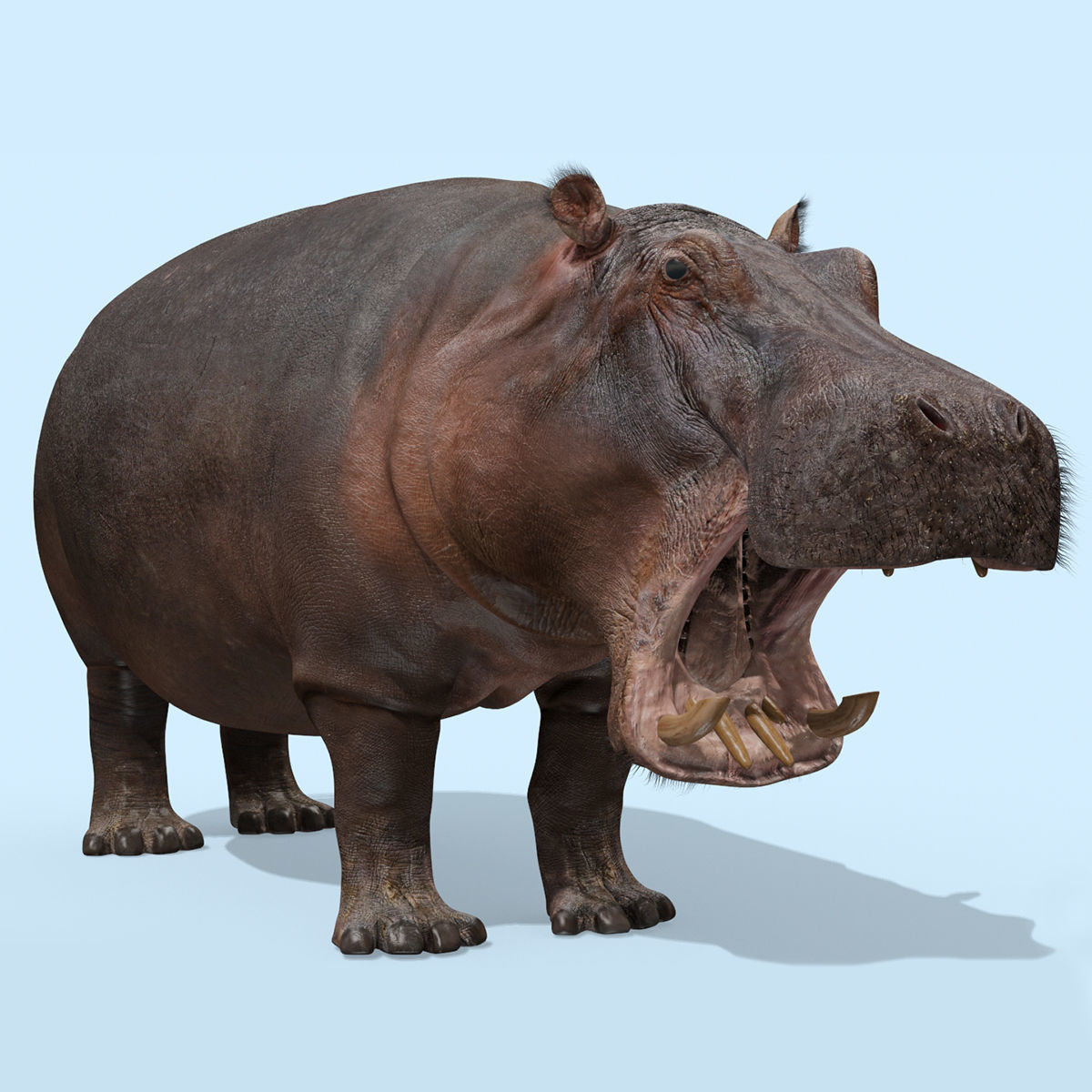 Colossal Animal Pack HD - Animated 3D model animated rigged | CGTrader
