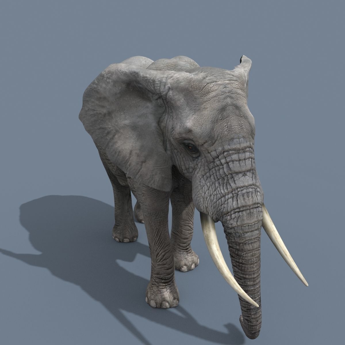 Colossal Animal Pack HD - Animated 3D model animated rigged | CGTrader