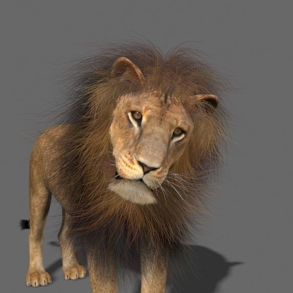 Colossal Animal Pack HD - Animated 3D model animated rigged | CGTrader