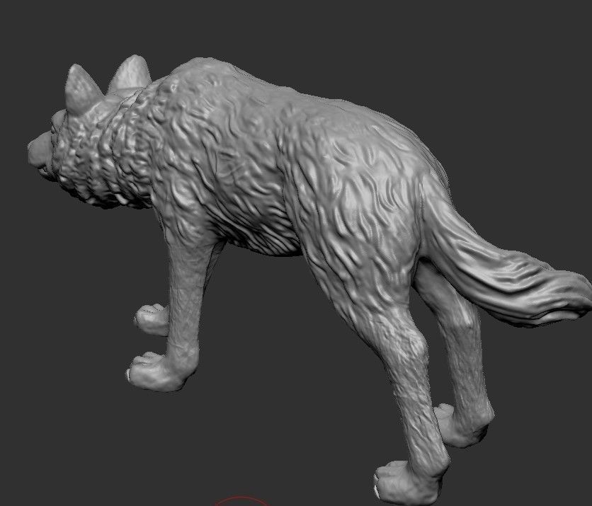 wolf model 3D model | CGTrader