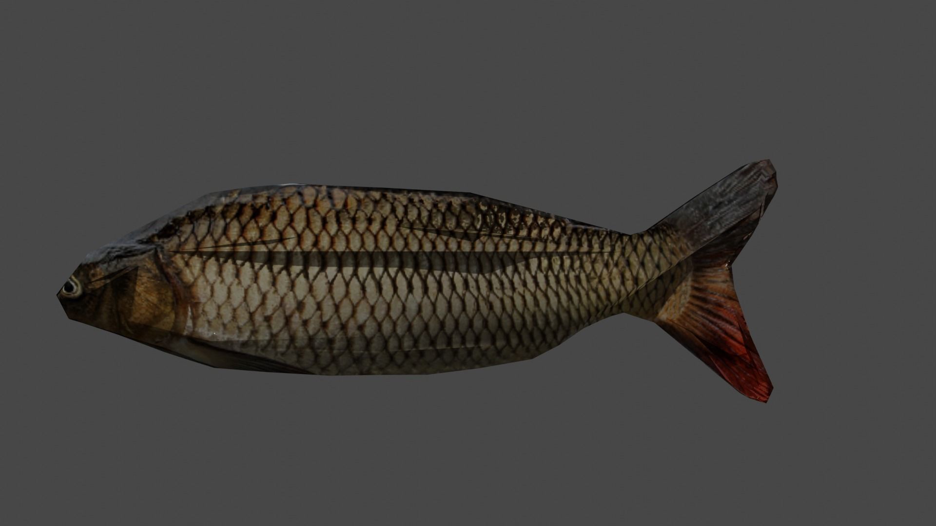 Animated school of fish 3D model animated | CGTrader