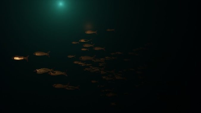 Animated school of fish 3D model animated | CGTrader