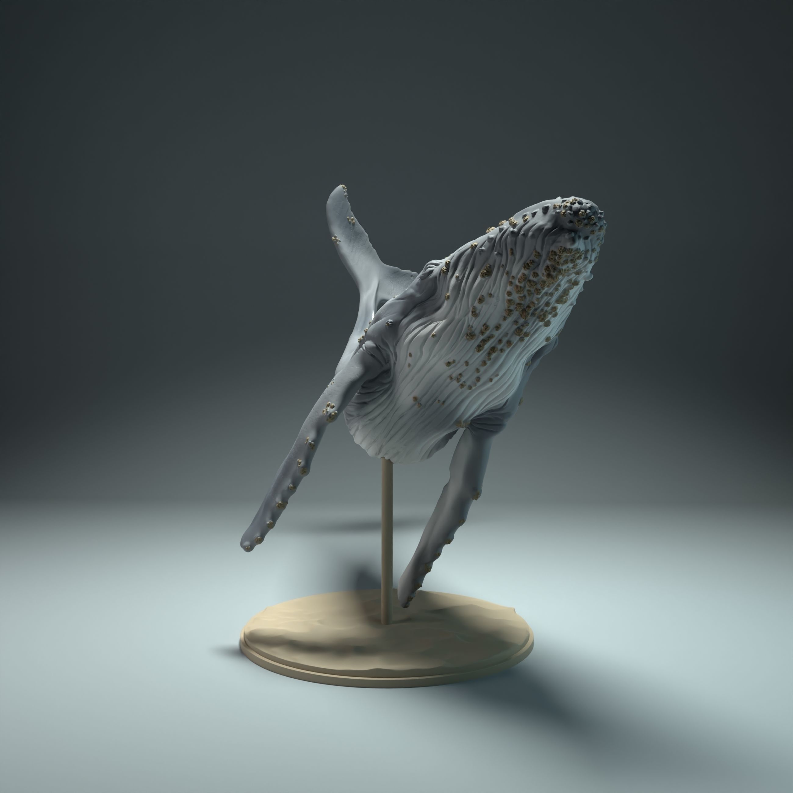 Humpback Whale 3D model 3D printable | CGTrader