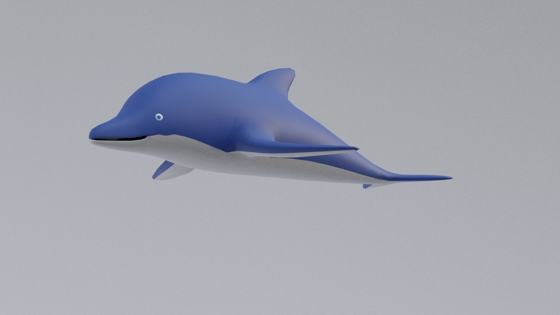 Cartoon Dolphin 3D model | CGTrader