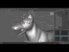 dog rig in maya free 3D model rigged | CGTrader