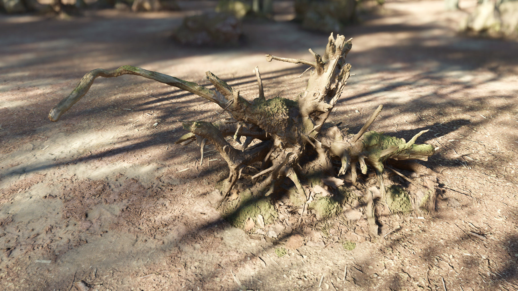 Forest Tree Root A 3D model | CGTrader