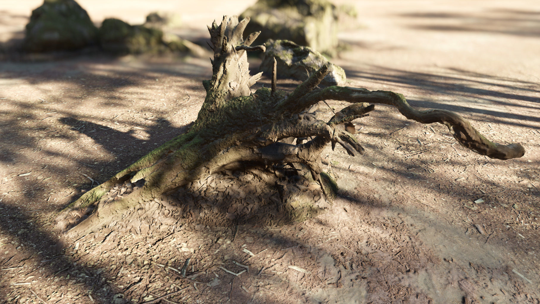 Forest Tree Root A 3D model | CGTrader