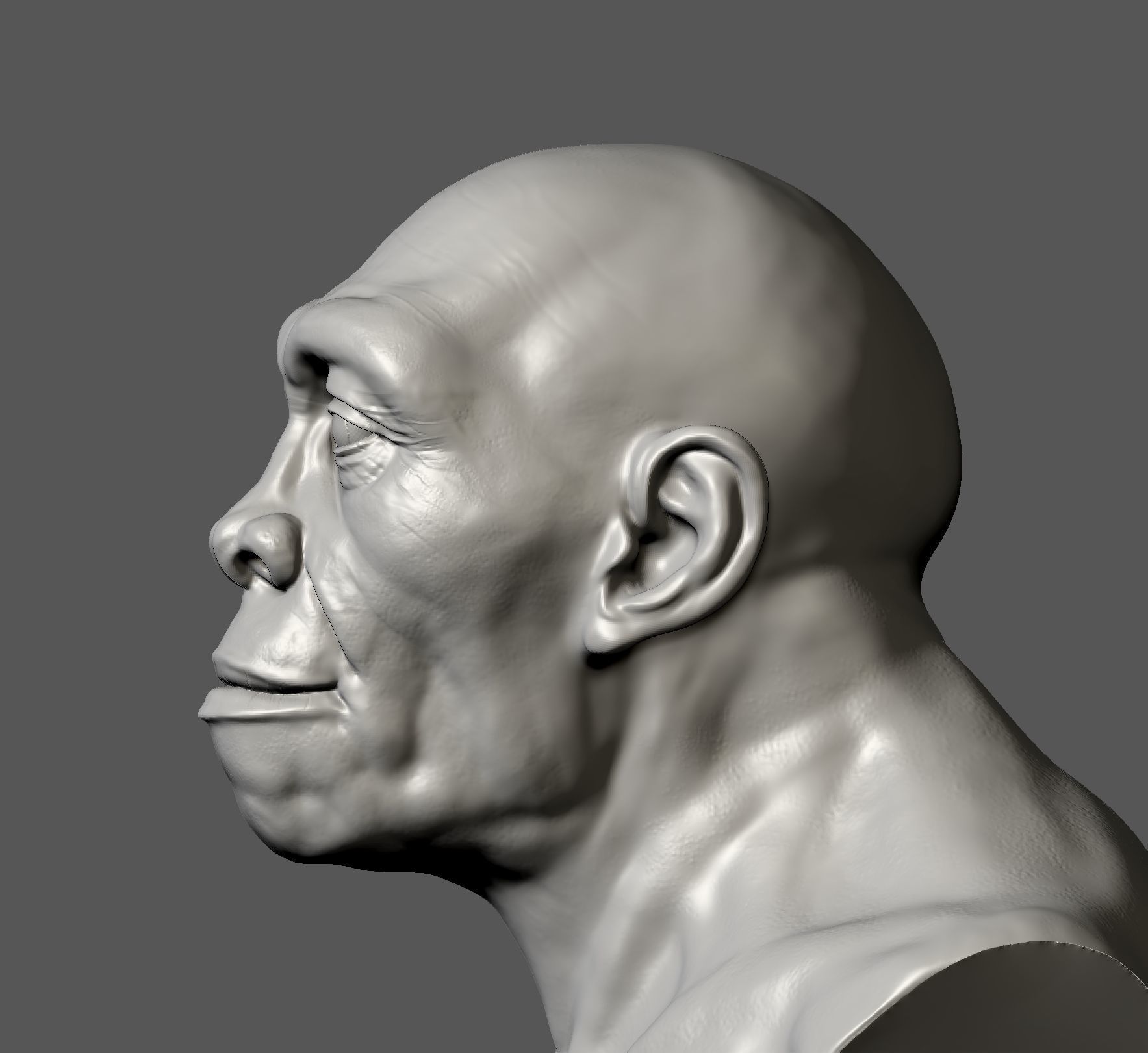 Homo erectus 3D model 3D printable | CGTrader