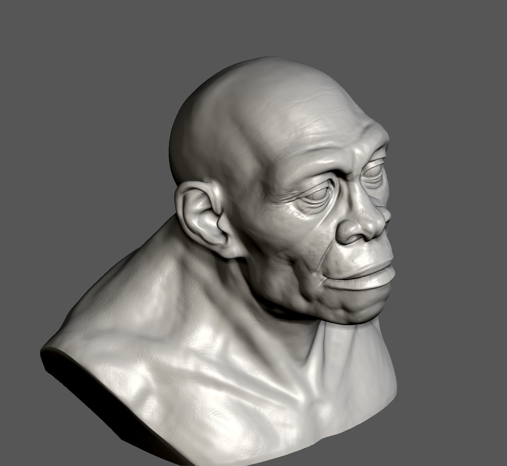 Homo erectus 3D model 3D printable | CGTrader