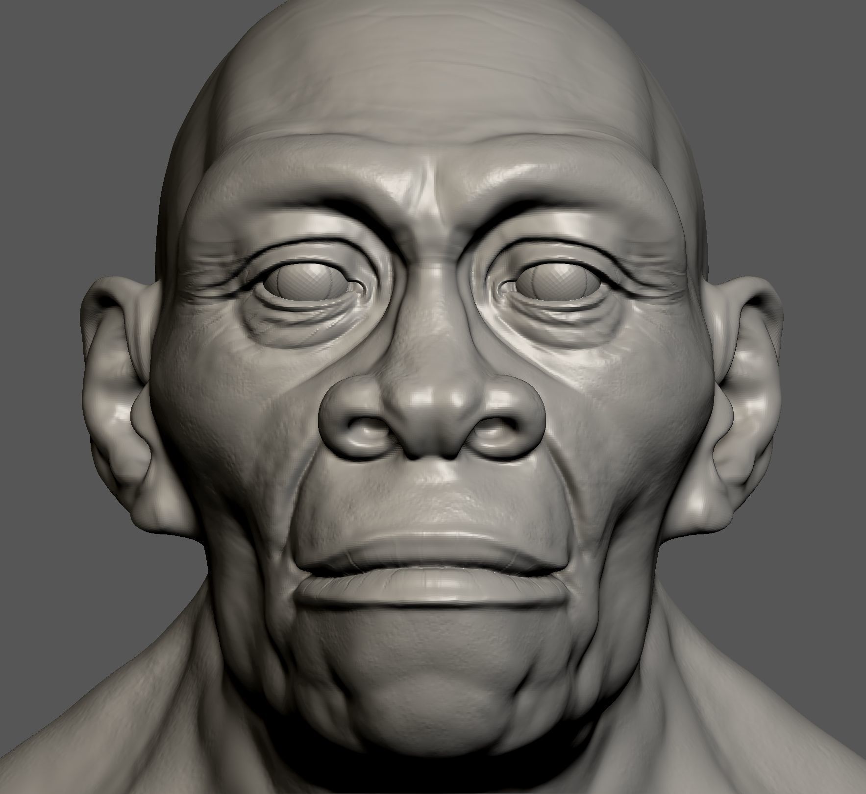 Homo erectus 3D model 3D printable | CGTrader