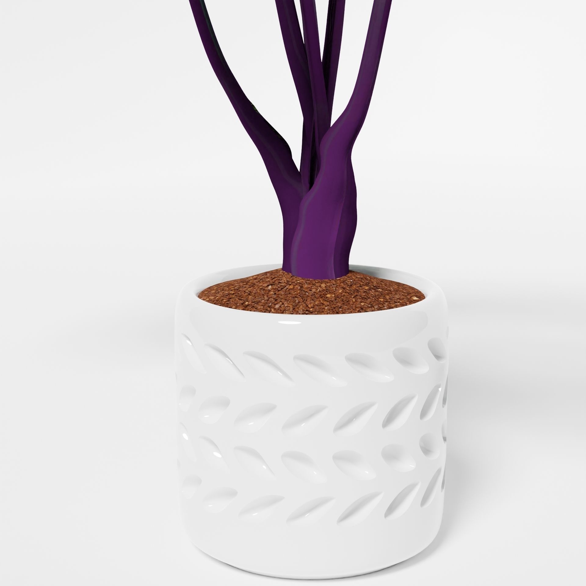 caladium moonlight florida 3D model | CGTrader