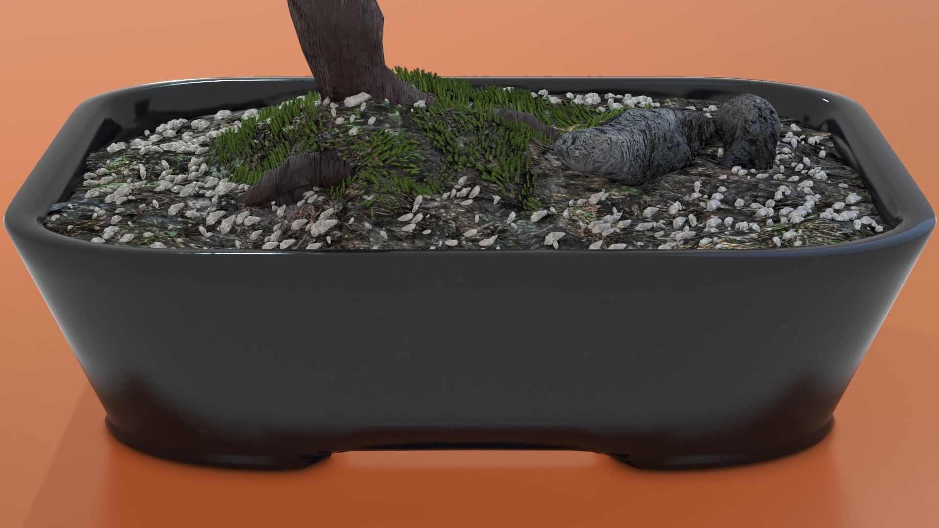 Bonsai tree in pot free 3D model | CGTrader