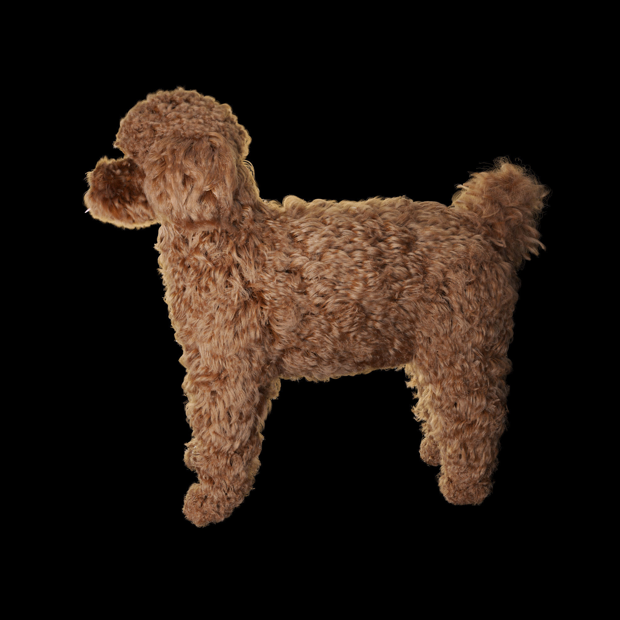 Poodle dog puppy 3D model | CGTrader
