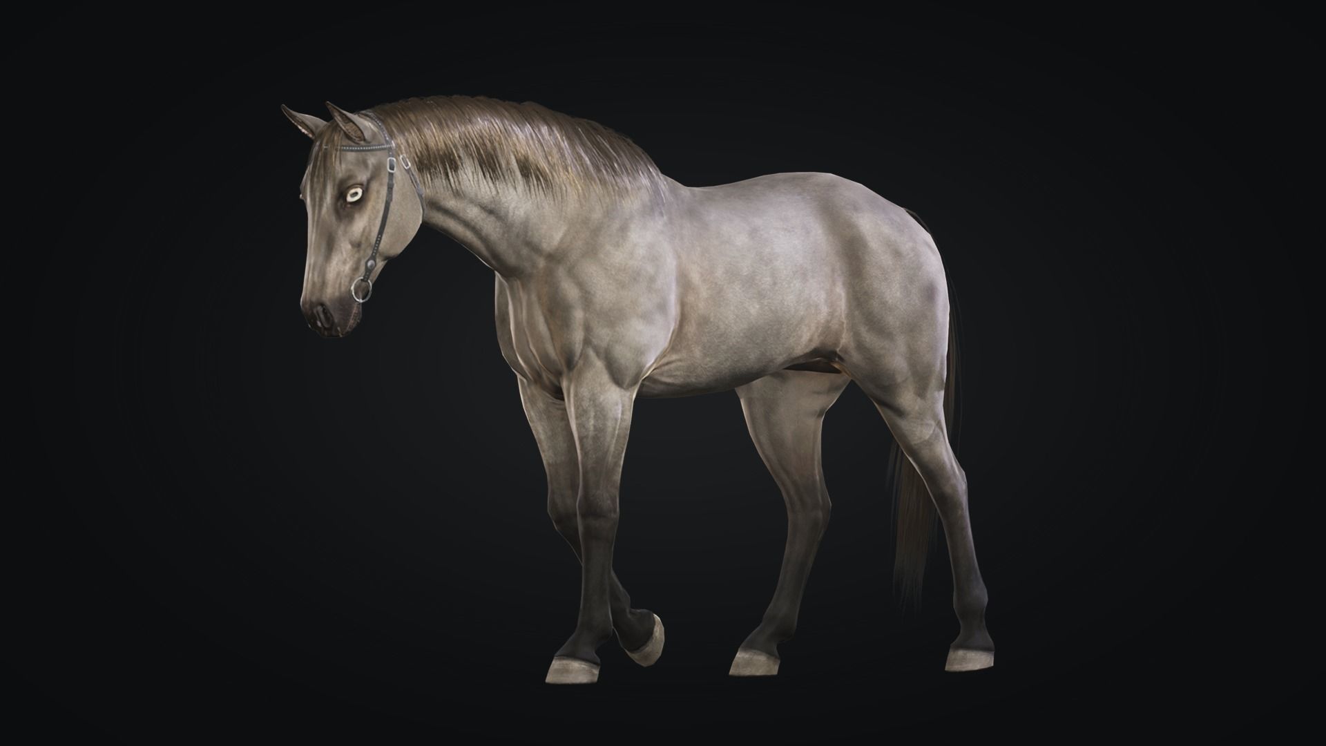 3D model Horse Herd - Low poly animated game-ready Horse and control ...