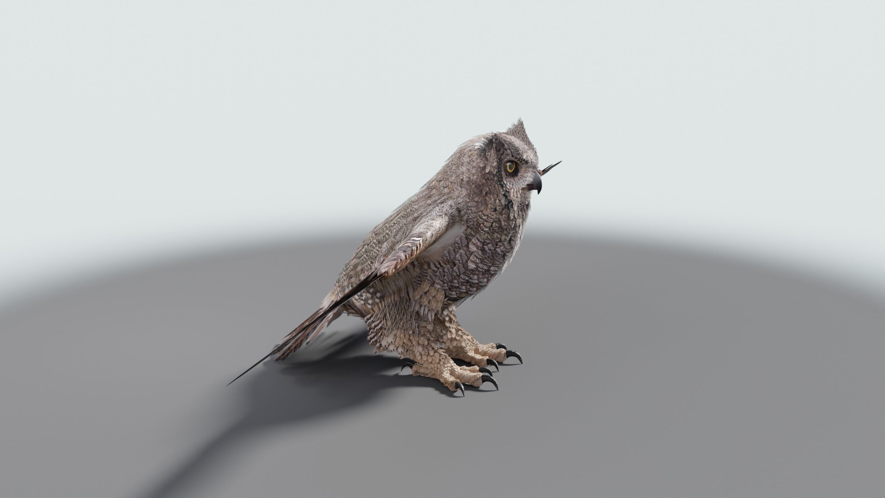3D model Great Horned Owl - Blender VR / AR / low-poly | CGTrader