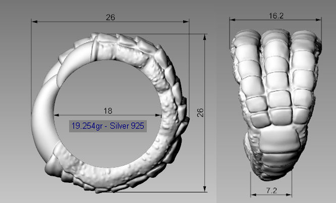 Crows foot ring 3d model for 3d printing 3D print model 3D model 3D ...