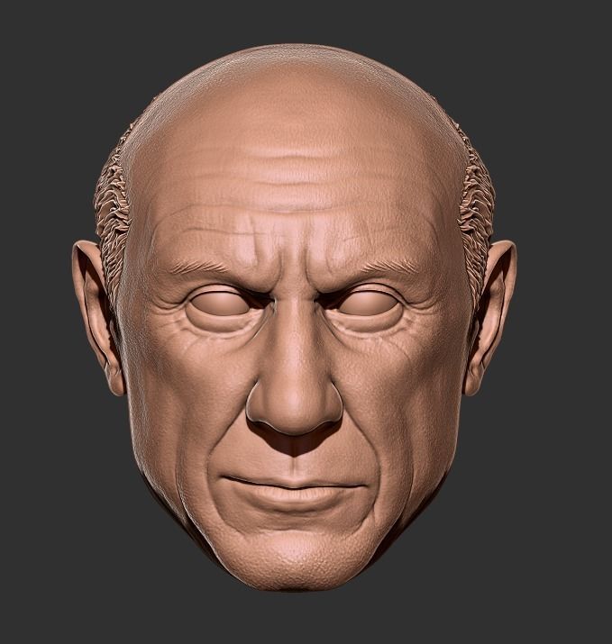 Pablo picasso head 3D model 3D printable | CGTrader
