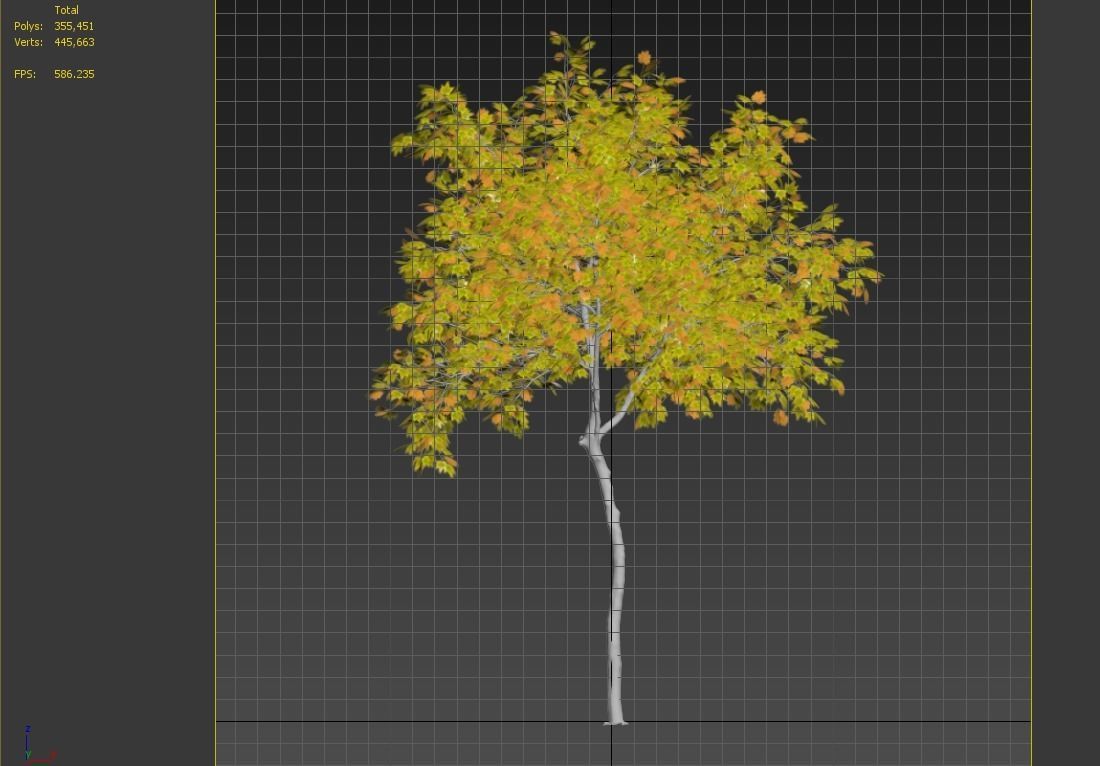 Small maple tree 3D model | CGTrader