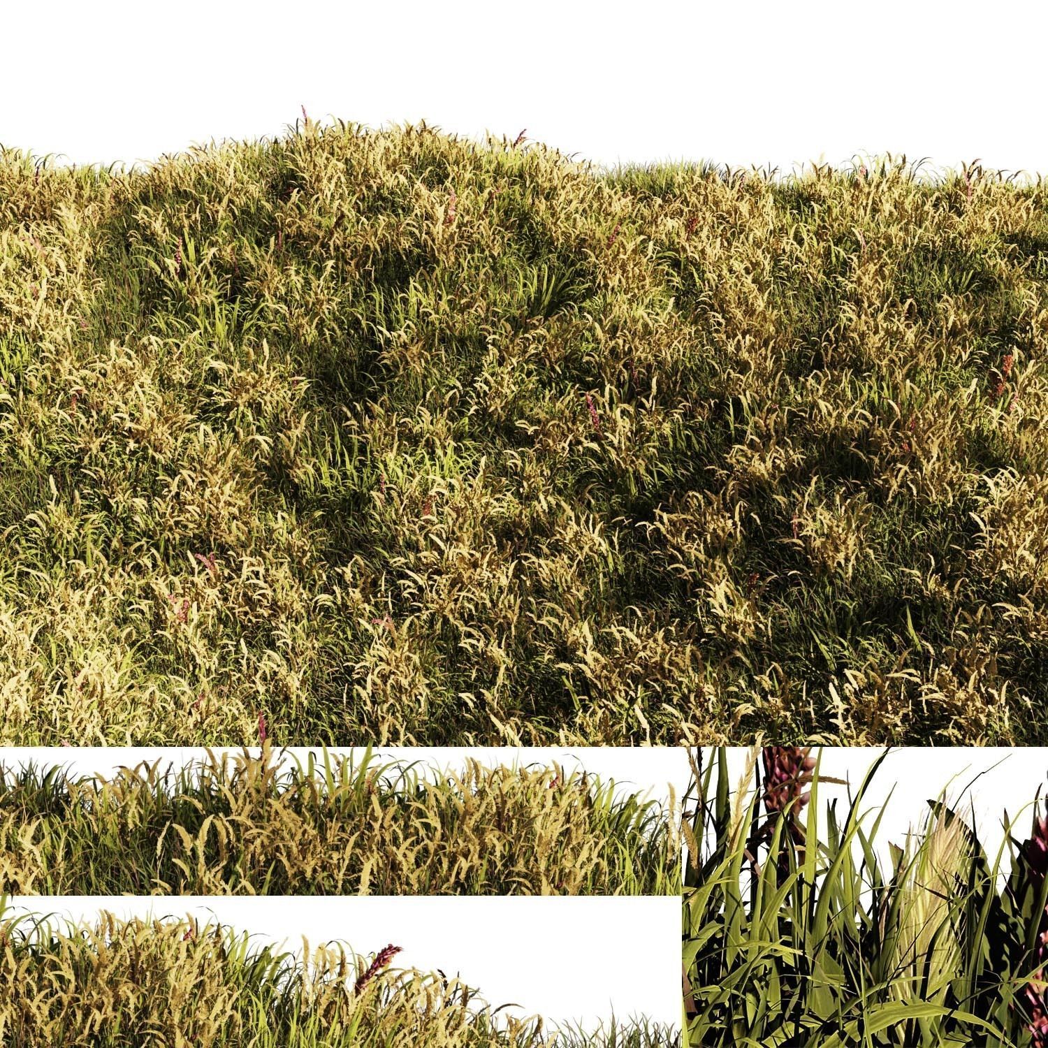 3D model Set Grass with Flower006 Arc corona VR / AR / low-poly | CGTrader