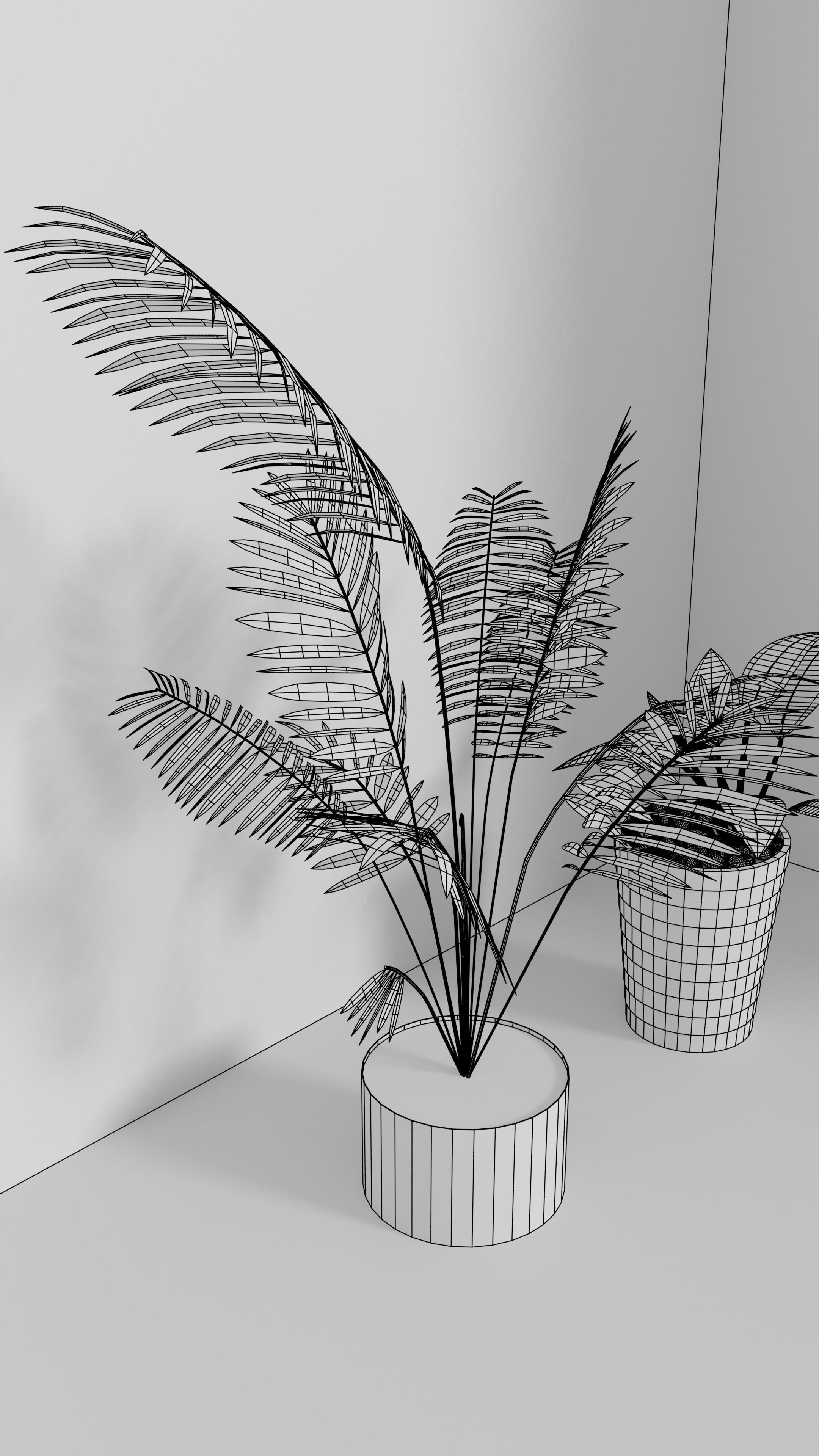 3D Models of plants 3D model | CGTrader