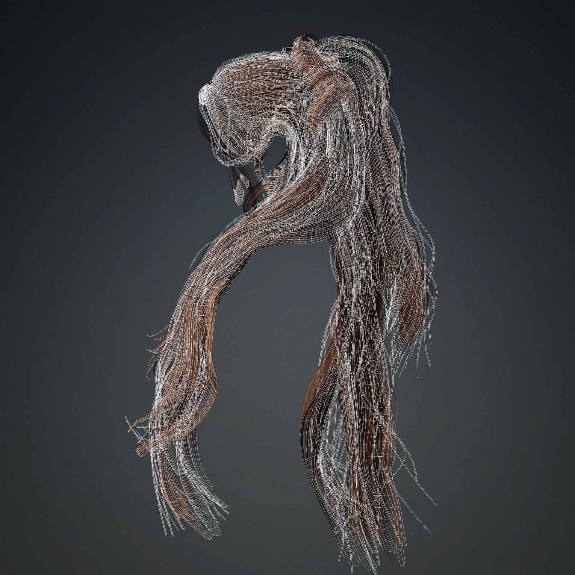 Female Hair Evelyn 3D model | CGTrader