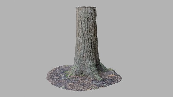 Conifer Tree Trunk - Photoscan 3D Model - Varying LOD free VR / AR ...