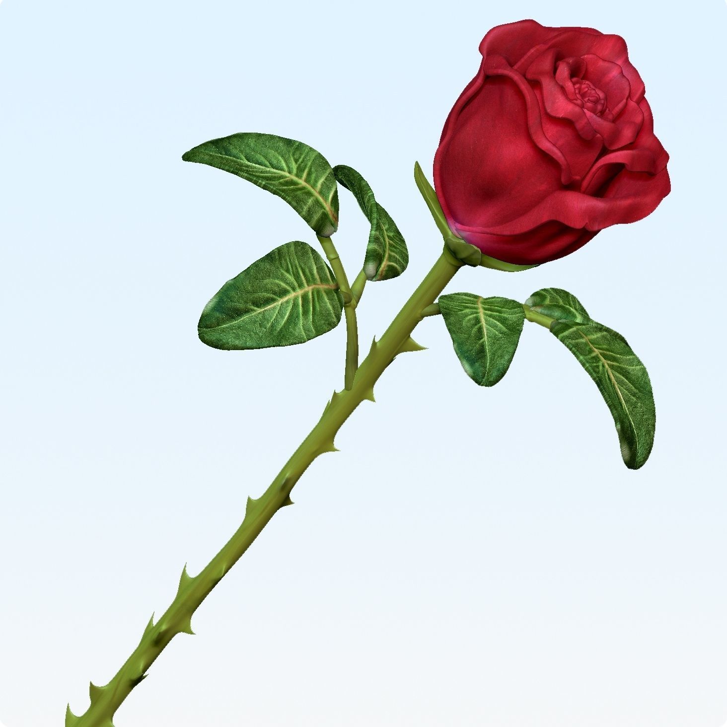 rugosa rose free 3D model 3D printable | CGTrader