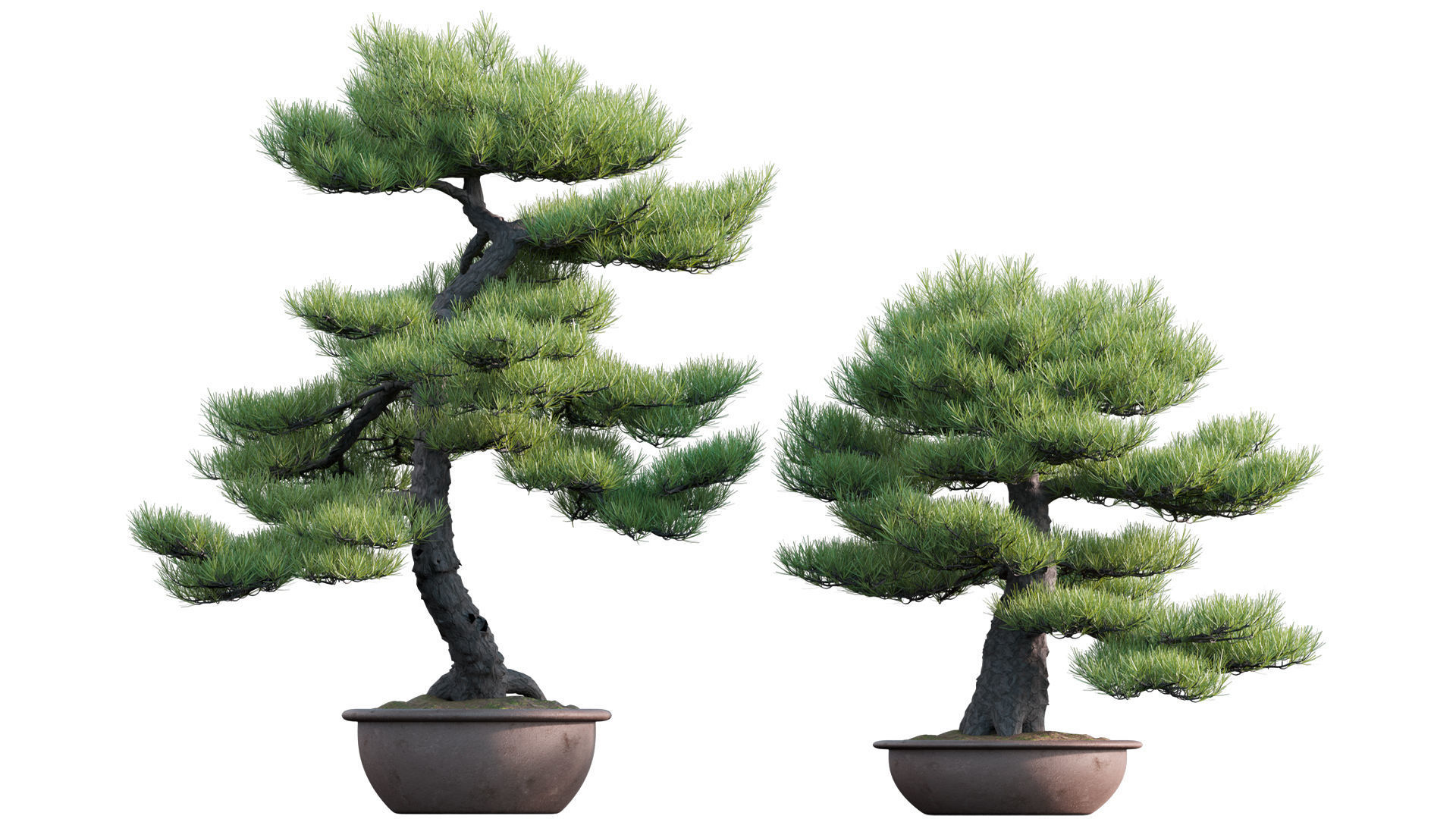 Bundle 24 - Japanese Garden 3D model | CGTrader