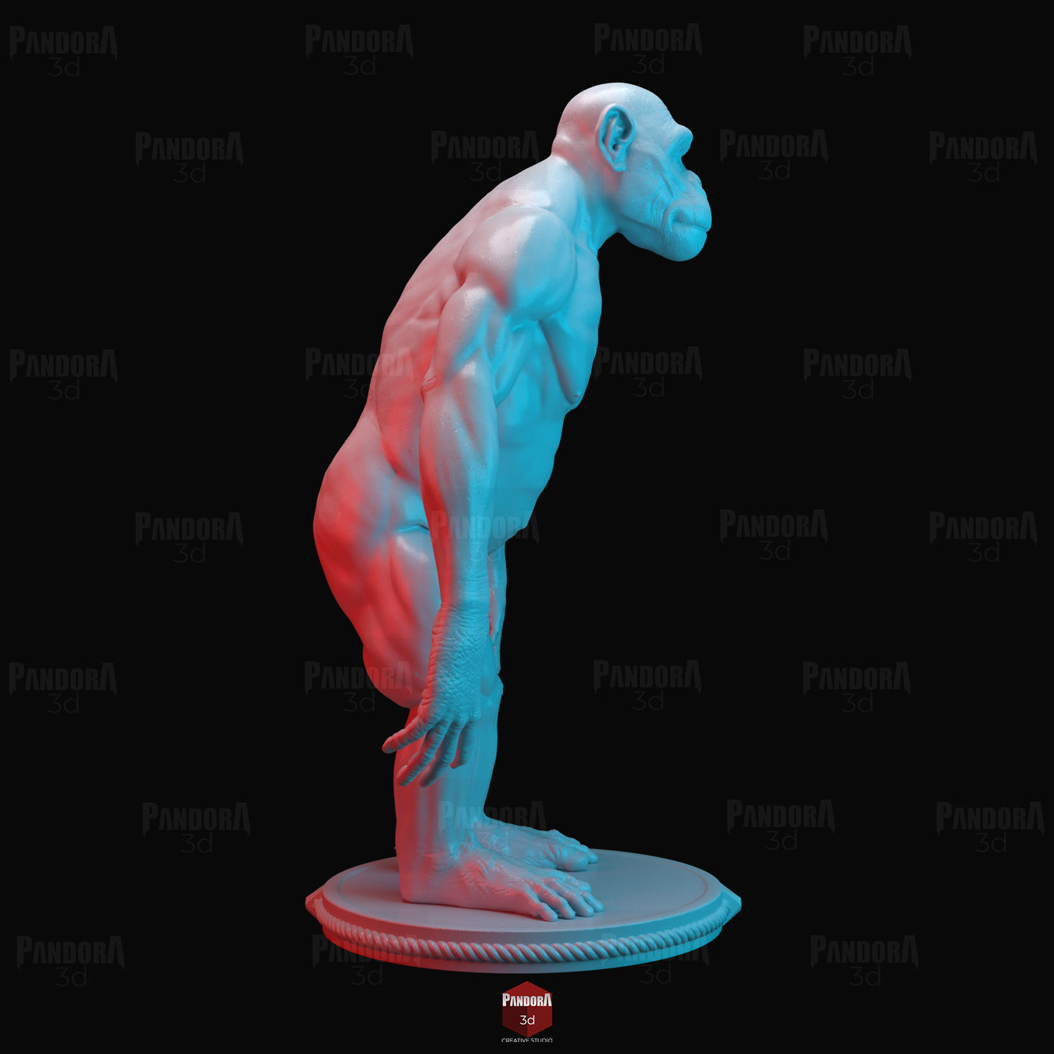 Monkey anatomy to print 3D model 3D printable | CGTrader