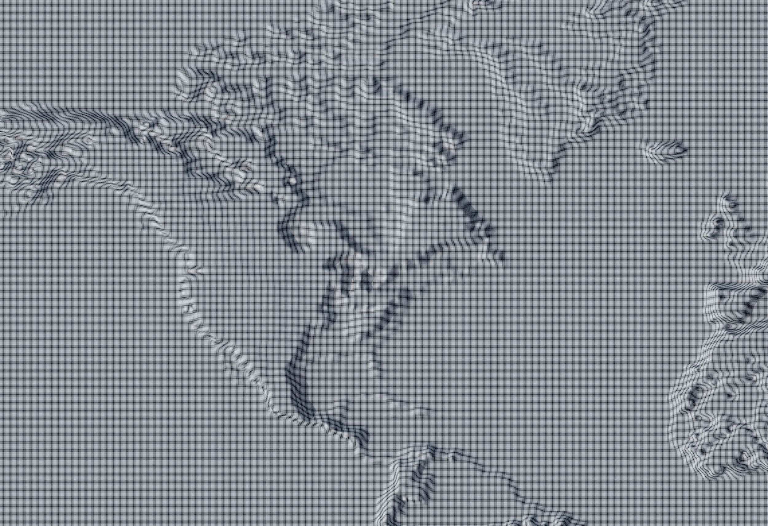 Topography of the earth 3D model | CGTrader