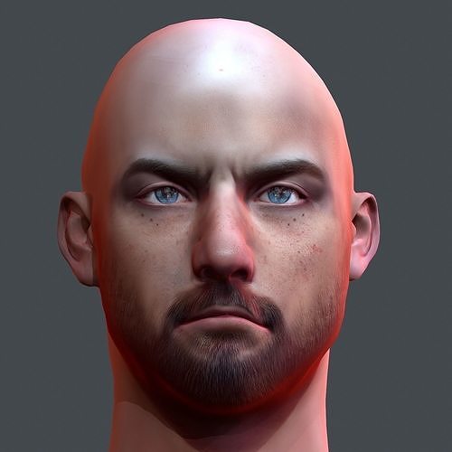 3D model Male head Realistic Perfect Head Low-poly 3D model game ready ...