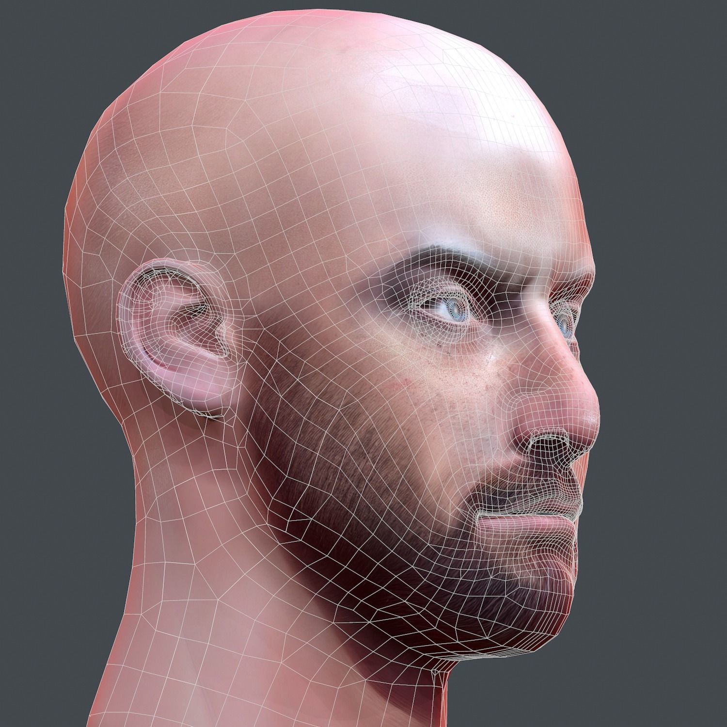 3D model Male head Realistic Perfect Head Low-poly 3D model game ready ...