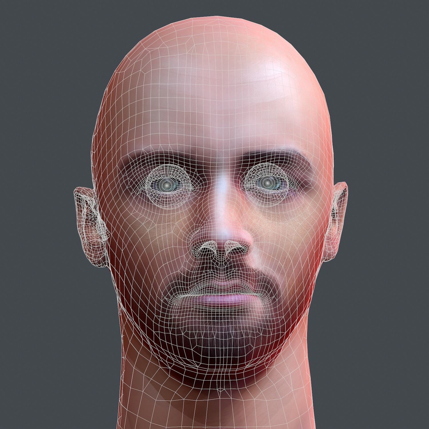 3D model Male head Realistic Perfect Head Low-poly 3D model game ready ...