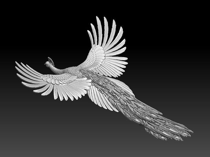 peacock 3D model 3D printable | CGTrader