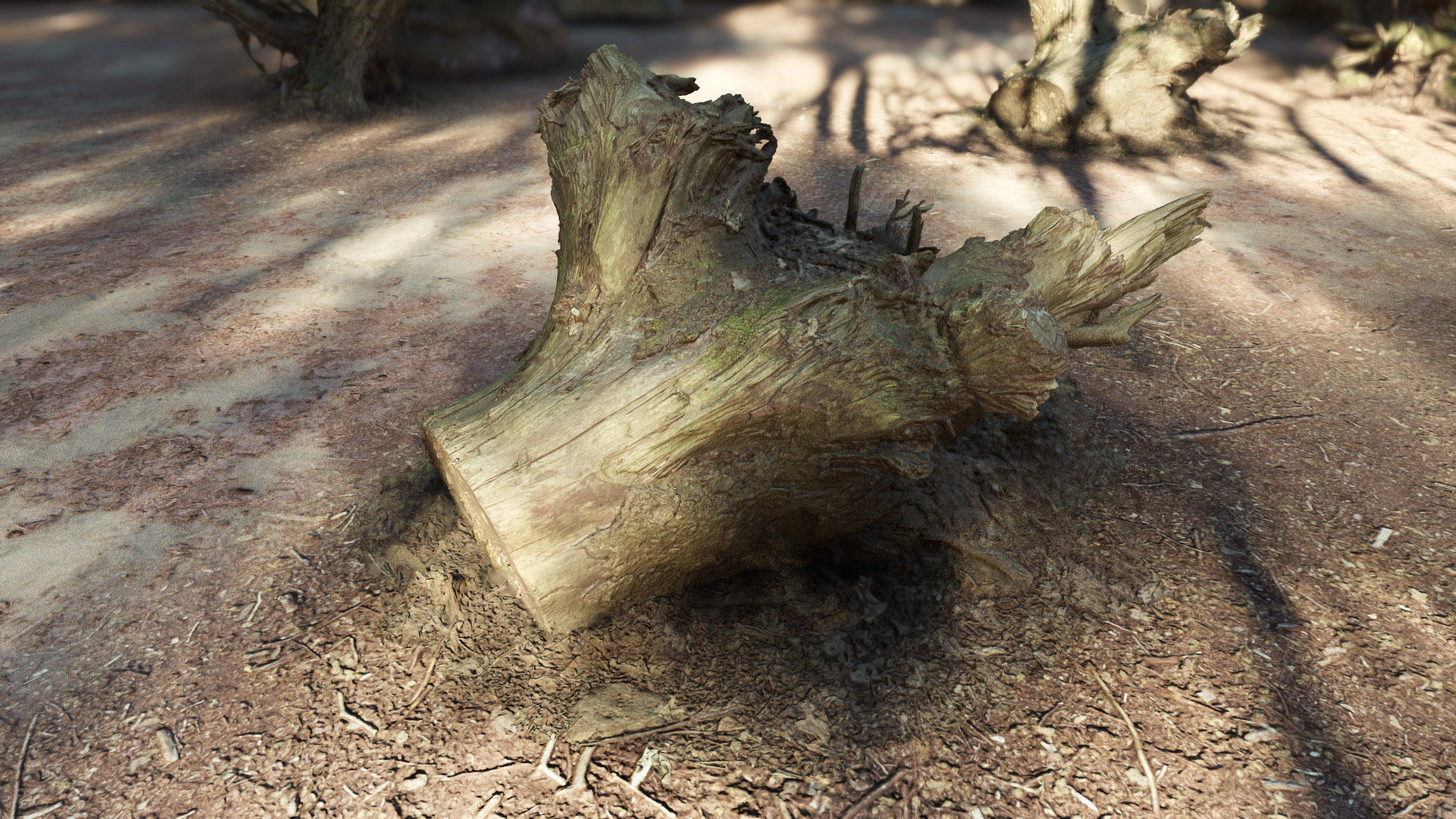 Forest Tree Root C 3D model | CGTrader