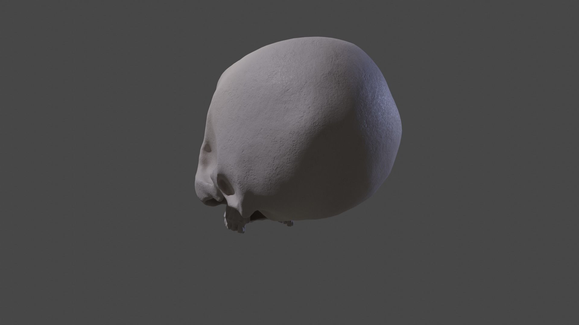 Stylized Skull 3D model | CGTrader