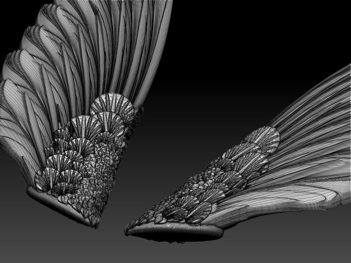 wings pair of colorful 3D model 3D printable | CGTrader