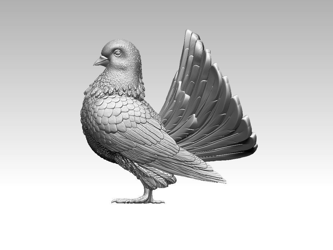 pigeon 3D model 3D printable | CGTrader