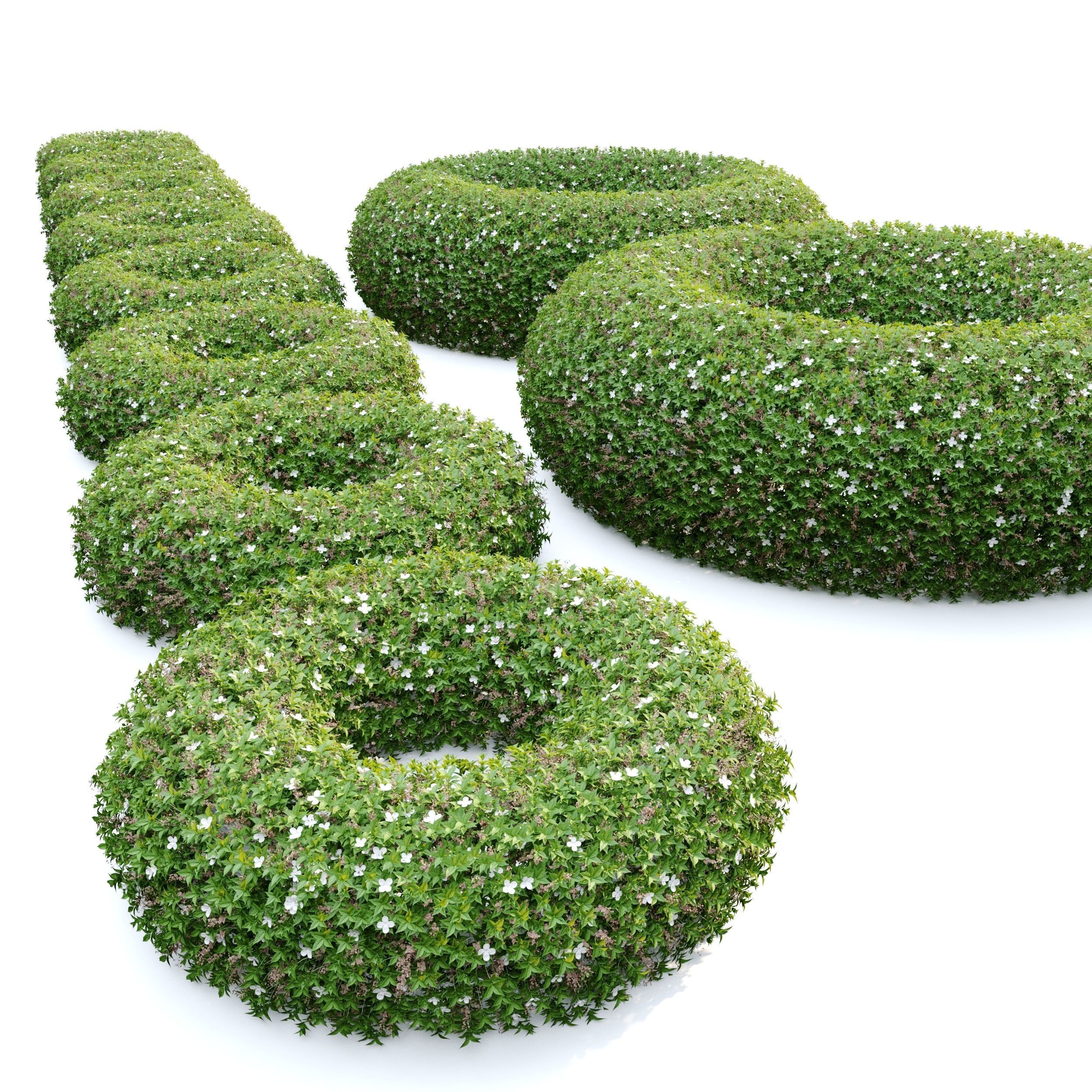 Topiary hedge bushes 3D model | CGTrader