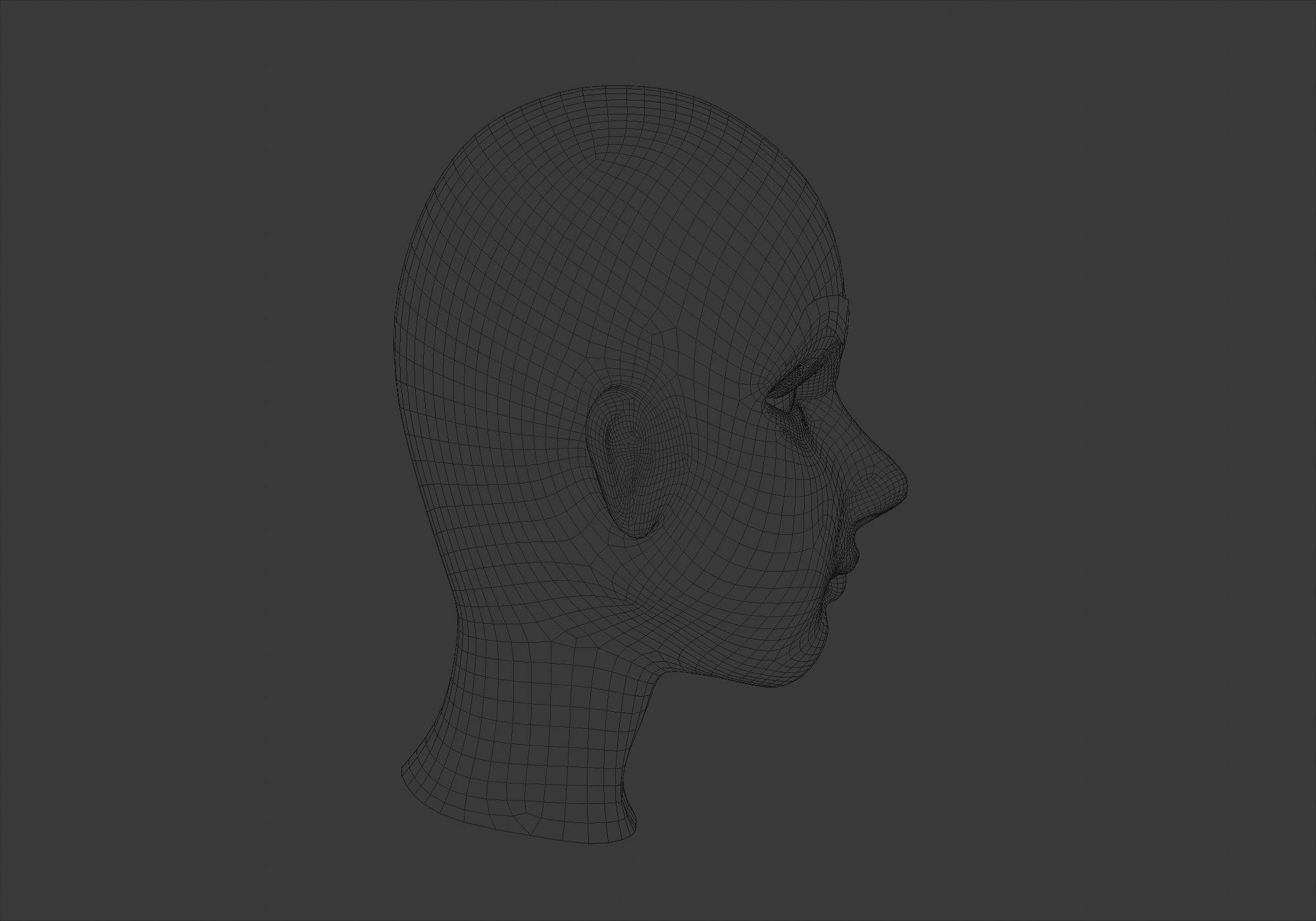 High Poly Head mannequin 3D model | CGTrader