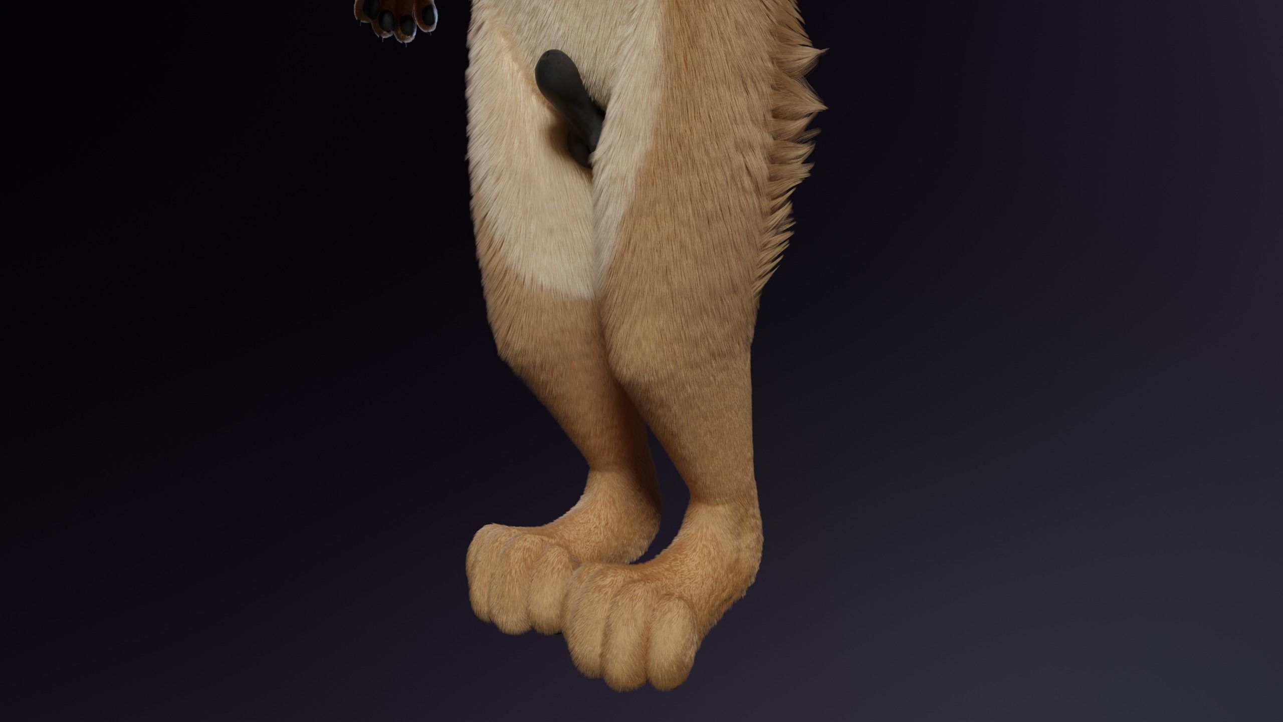 Jacob anthro dingo 3D model rigged | CGTrader