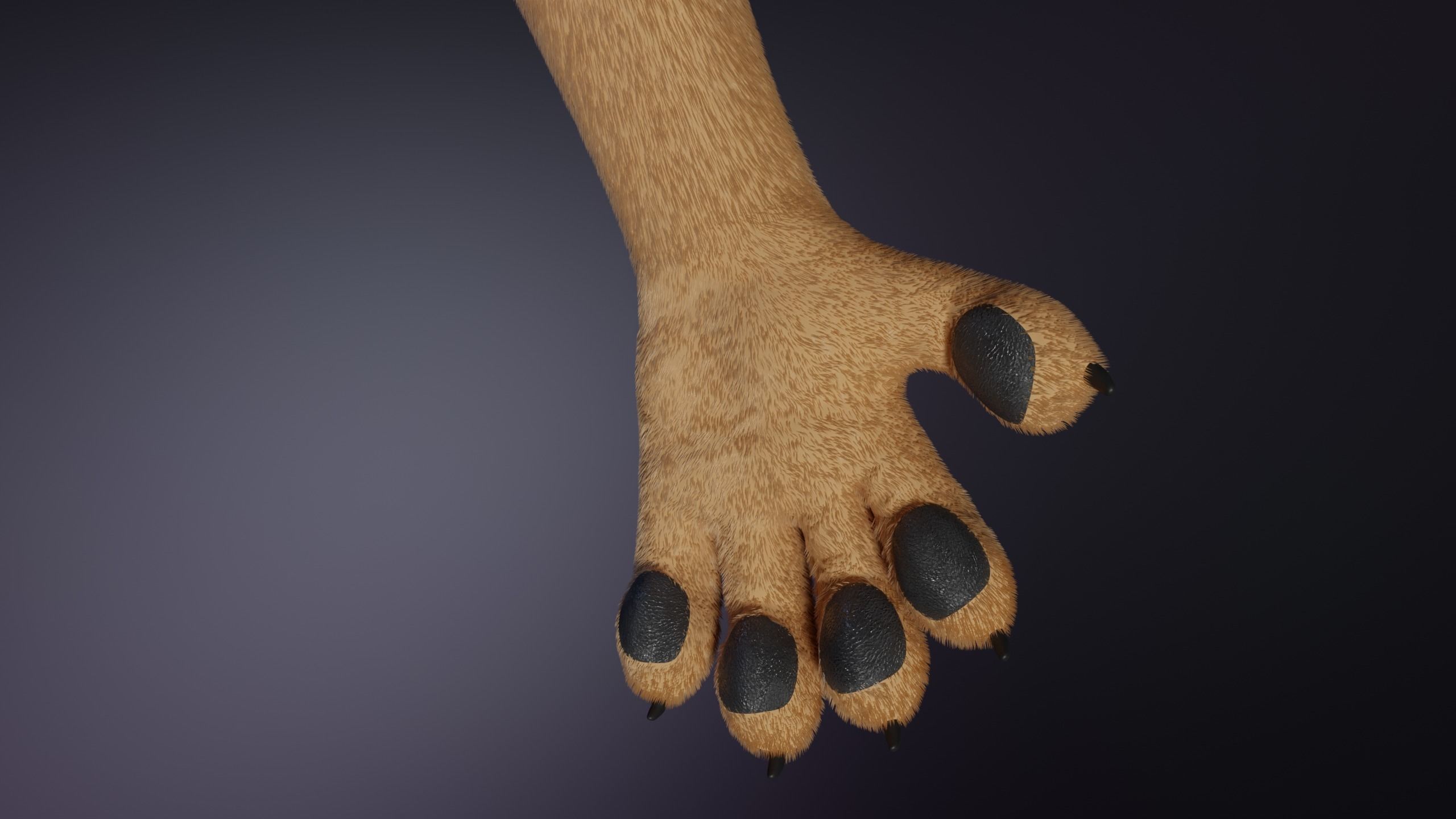 Jacob anthro dingo 3D model rigged | CGTrader