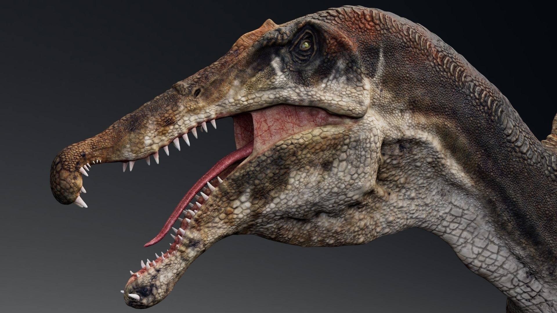 3D model Spinosaurus 2020 Unreal Engine and Unity Projects VR / AR ...