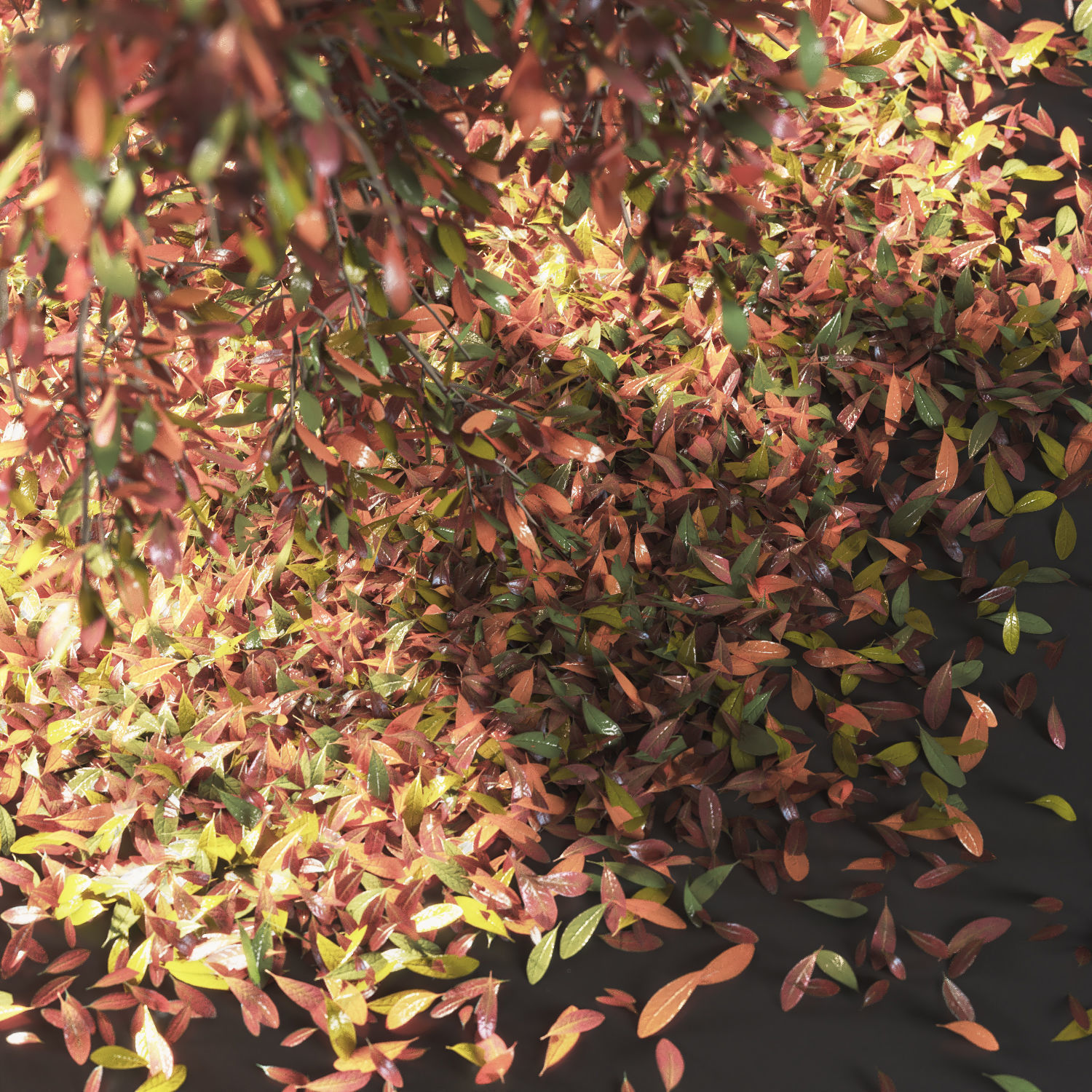 3D model Autumn tree 001 VR / AR / low-poly | CGTrader