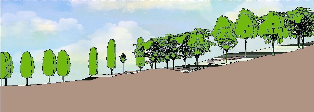 OPTIMIZED Fully-Customizable Revit 2022 Tree Family - SET3 3D model ...